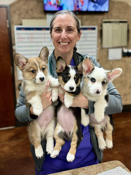 Our Team - Hooves and Paws Pet Hospital in Aubrey